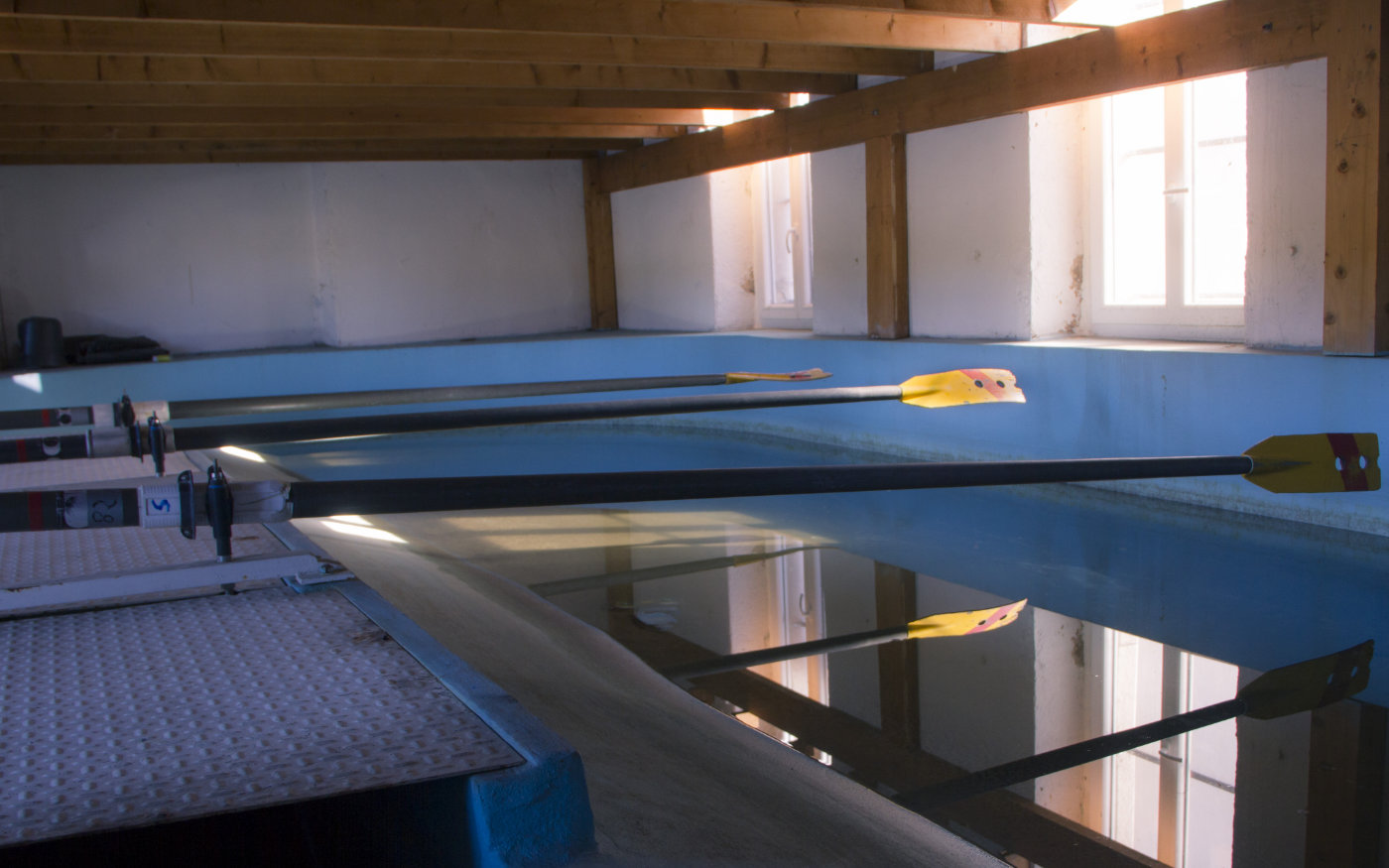 Visite du club – Aviron Club Lyon Caluire