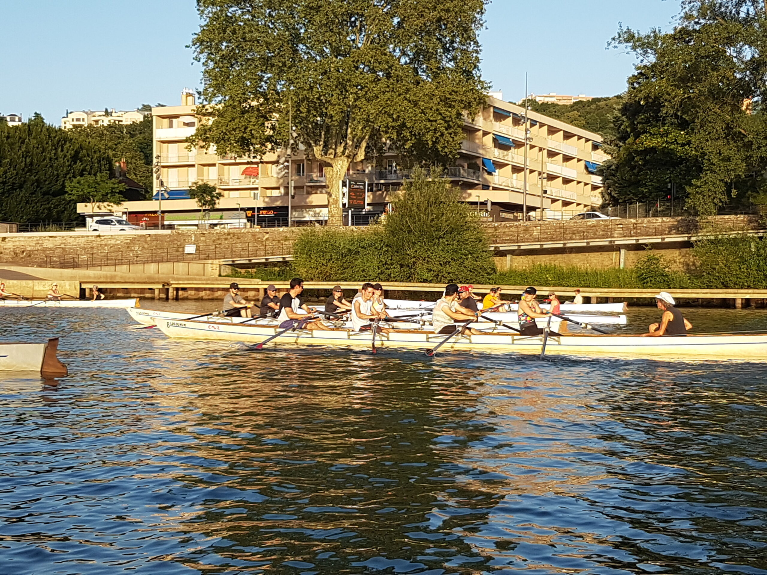 Aviron Loisir – Aviron Club Lyon Caluire